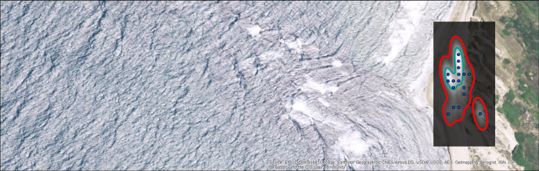 Using R to Calculate KDE Home Ranges – Teng Keng Vang